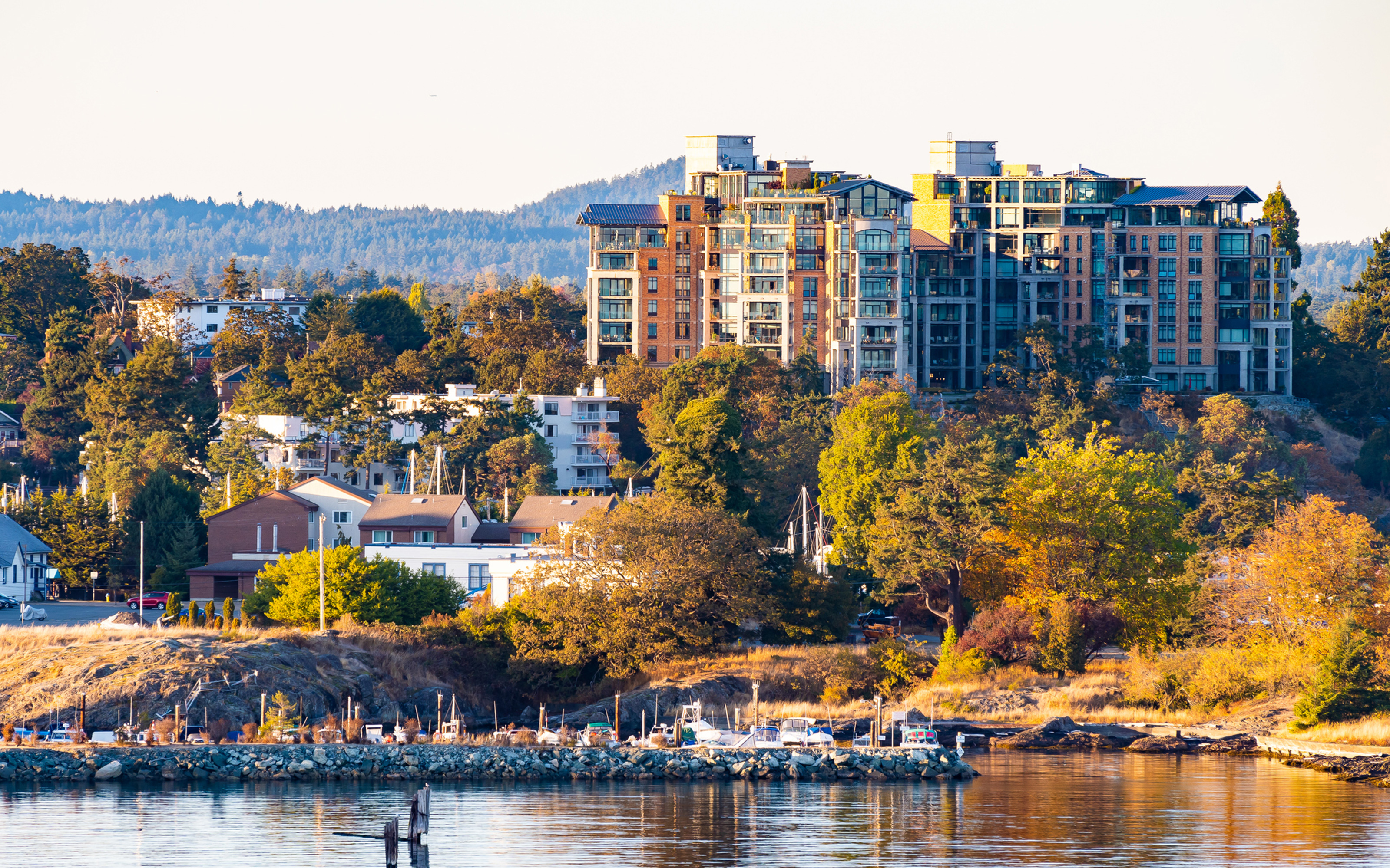 the victoria rennie advance | October 2024