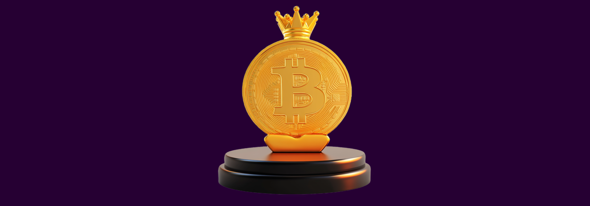 Introducing: The Sovereignty guide by Bitcoin Well - Bitcoin Well Blog