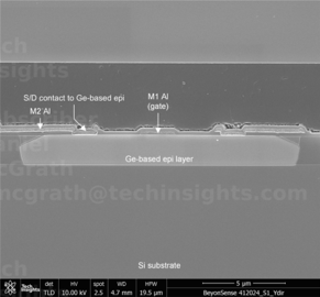 TechInsights Platform